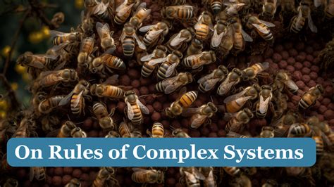 The Fascinating World Of Complex Systems Understanding The Rules That Govern Them