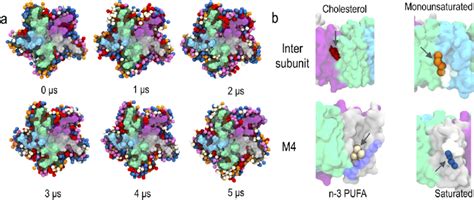 A Molecular Perspective Of Coarse Grained Simulation Results A Download Scientific Diagram