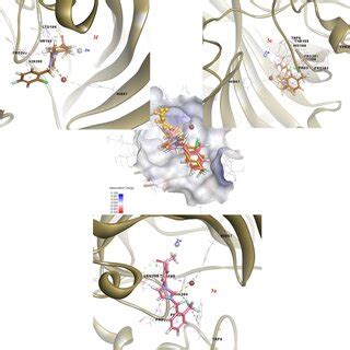 Three Dimensional Representation And Best Pose View Indicating The