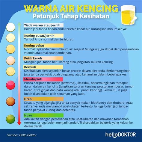 Contoh Kencing Berbuih Normal: Ini Punca & Simptom Anda Kena Perhati