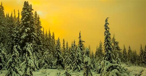 Sunrise From Mt Dickerman Wa Imgur