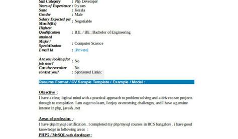 Web Developer Fresher Resume Format 21 Fresher Resume Templates Pdf Doc Free Premium