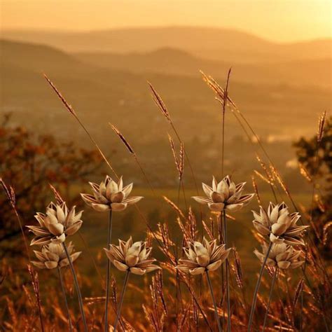 10 мест где снимали «Гарри Поттера Гарри Поттер Хогвартс Amino