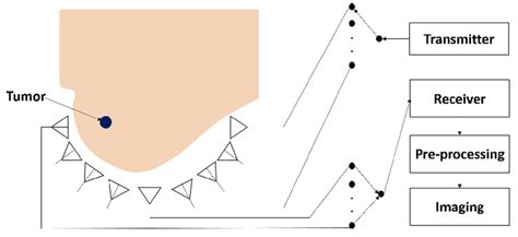 A Typical Near Field Microwave Imaging System For Breast Cancer Detection Download Scientific