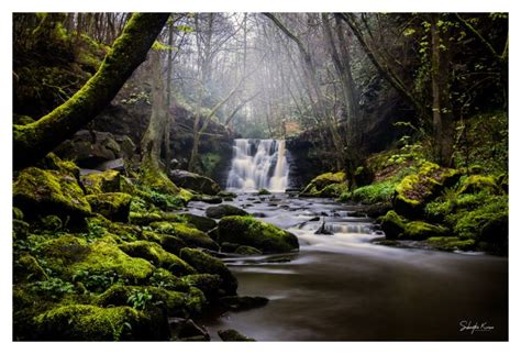 Subrotho Kumar On Linkedin Productivity Mentalhealth Photography