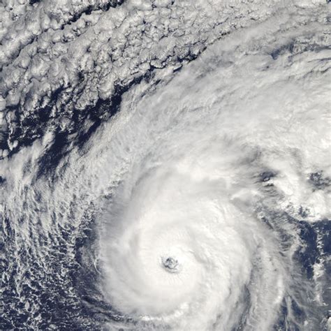 Haisheng Lin Research Profile