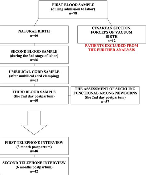 schematic representation of the selection of patients download