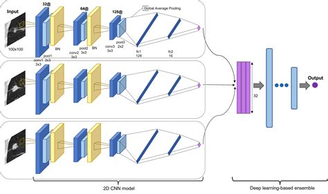 A Multi Kernel And Multi Scale Learning Based Deep Ensemble Model For