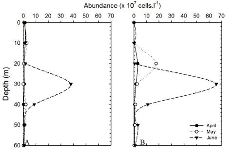 Vertical Distribution Of Temperature °c Salinity Ppt Dissolved