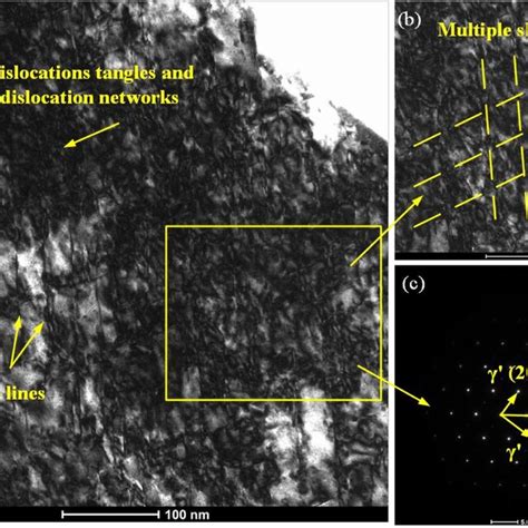 A Tem Micrograph Of The Lsp Treated Specimen At Near Surface Depth