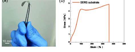 The Long Term Stability Test Of The Proposed Sers Substrate A Sers