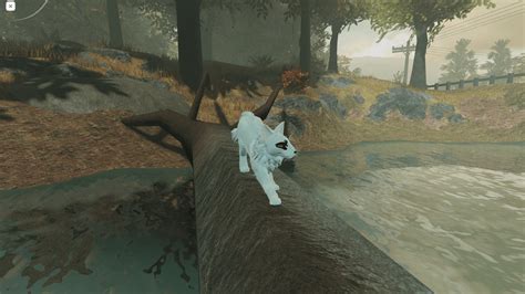 Who Likes Frog Ocs R Noncatswcue