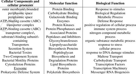 Functional Annotation Of Hypothetical Protein L34513461 Download