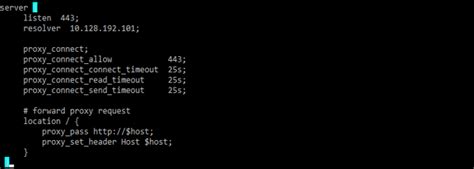 Nginx Forward Proxy How To Use Nginx Forward Proxy Classification