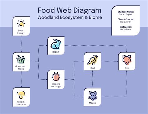 Iconic Forest Biome Food Web Diagram Template Venngage