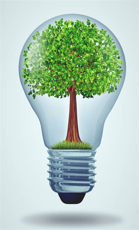 Unit 4 Review Day 3rd Grade Quiz Wayground