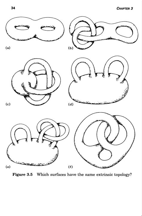 Geometry Why Do These Two Surfaces Have The Same Extrinsic Topology