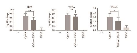 Tsg 6 Reduced The Transcription Of Interferon Regulatory Factor 7 And