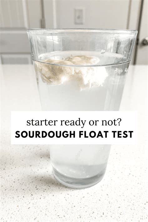 Sourdough Float Test Knowing When Starter Is Ready To Use