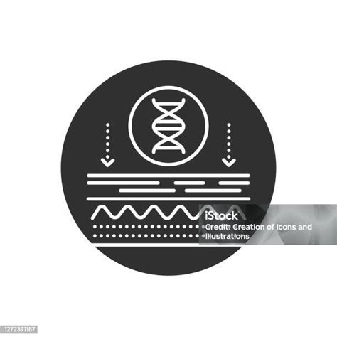 피부 유전학 글리프 블랙 아이콘에 미치는 영향 스킨 케어 웹 페이지 모바일 앱 버튼 로고에 서명합니다 벡터 격리 요소입니다 Dna에 대한 스톡 벡터 아트 및 기타 이미지