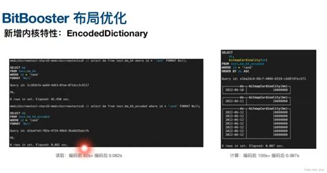 【讲座】bitbooster：clickhouse bitmap 10 倍查询优化实践 clickhouse bitmap查询优化 csdn博客