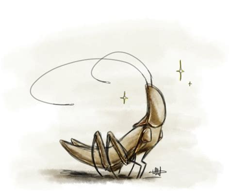 00 Hal The Cutest Cockroach Wall•e Amino Amino