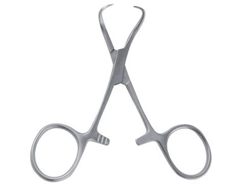 Backaus Forcep For Sheets L 80 Gestor Cosmetics