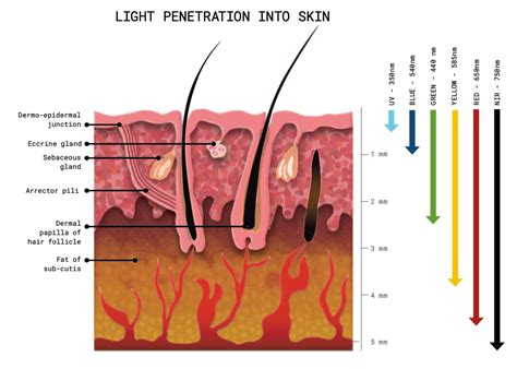 LED Vs Laser REVIAN