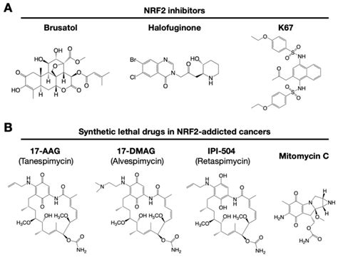 The Keap1 Nrf2 System As A Molecular Target Of Cancer Treatment Pmc