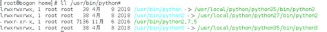 讲讲 Python Launcher 是什么鬼东西 知乎
