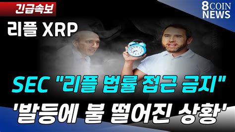 리플 Sec 리플 법률 접근 금지 발등에 불 떨어진 상황 Youtube