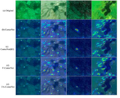Figure 1 From Underwater Holothurian Target Detection Algorithm Based