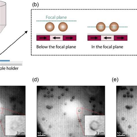 Figure S3 1 Convolution Of Optimized Images With Sobel Operators A