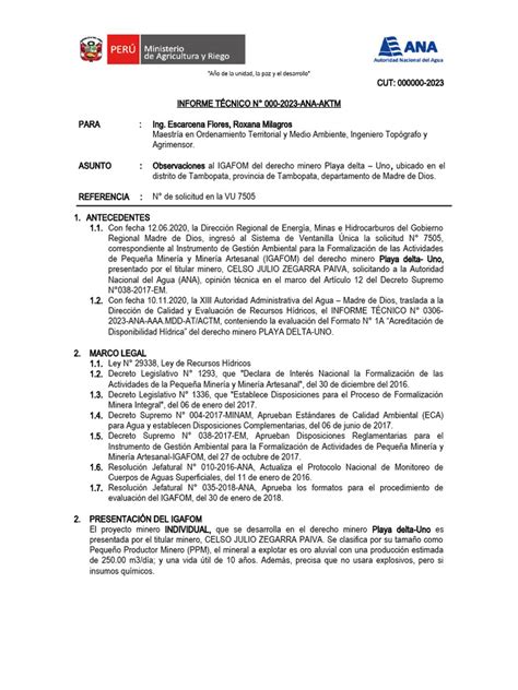 Modelo De Informe Técnico Pdf