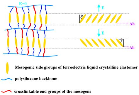 Electroactive Polymer Based Composites For Artificial Muscle Like