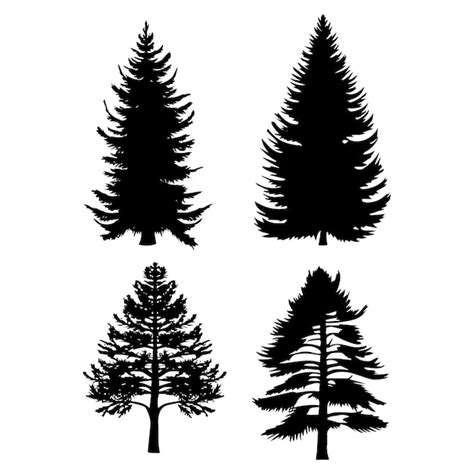 Premium Vector Pine Tree Vector Illustration Collection
