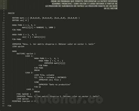 Arreglos Pseudocodigo Matriz Dispersa Diagonal Principal En Vector Tutorias Co