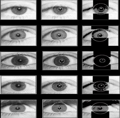 Examples Of Correct Segmented Irises Ubiris Iris Database Is Used To Download Scientific