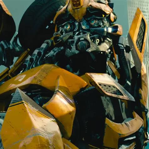 Bumblebee Dotm