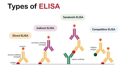 Optimizing Ligand Binding Assay Conditions For Accurate And
