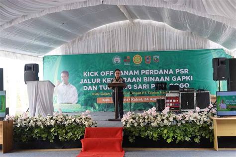 GAPKI Mulai Integrasikan Peremajaan Sawit dengan Penanaman Padi Gogo