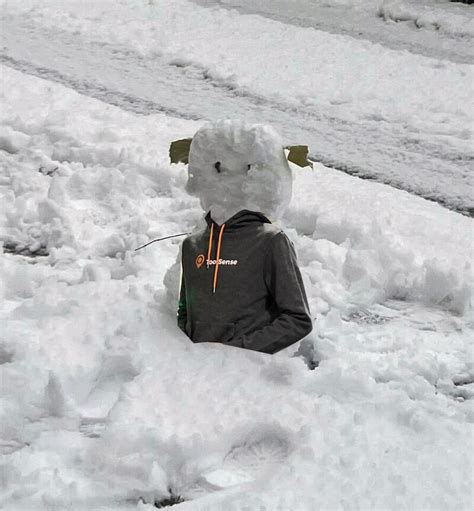 Meet Our New Team Member At Toolsense ☃️ 🎉 Alexander Manafi