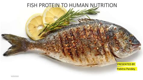 Fish Protein To Human Nutrition Pptx
