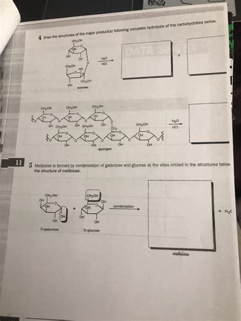 Solved PRELABORATORY EXERCISE Lab Partner A Monosaccharides Chegg Com