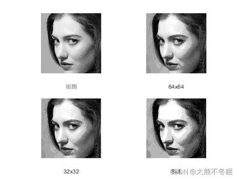 图像数字处理——使用matlab对图像进行采样和量化对图像采样为256 Csdn博客