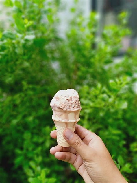 10 무료 Holding Ice Cream And 아이스크림 이미지 Pixabay