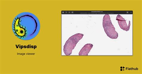 Install Vipsdisp On Linux Flathub