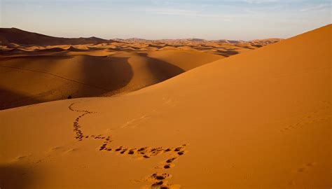 Tourist Attractions In Mauritania