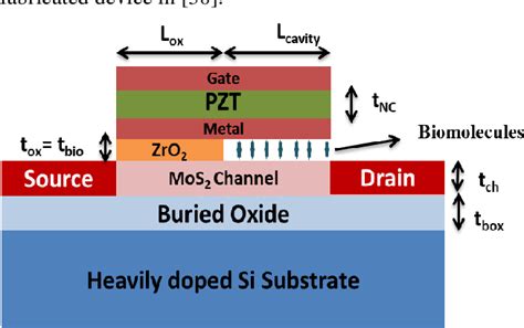 Figure 1 From Analytical Modelling Of Dielectric Modulated Negative Capacitance Mos2 Fet For