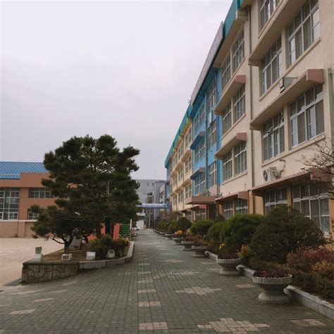 대전광역시교육청 학교풍경 예쁜학교를 찾아라 초등학교에 양궁장이 다양한 생태체험이 가능한